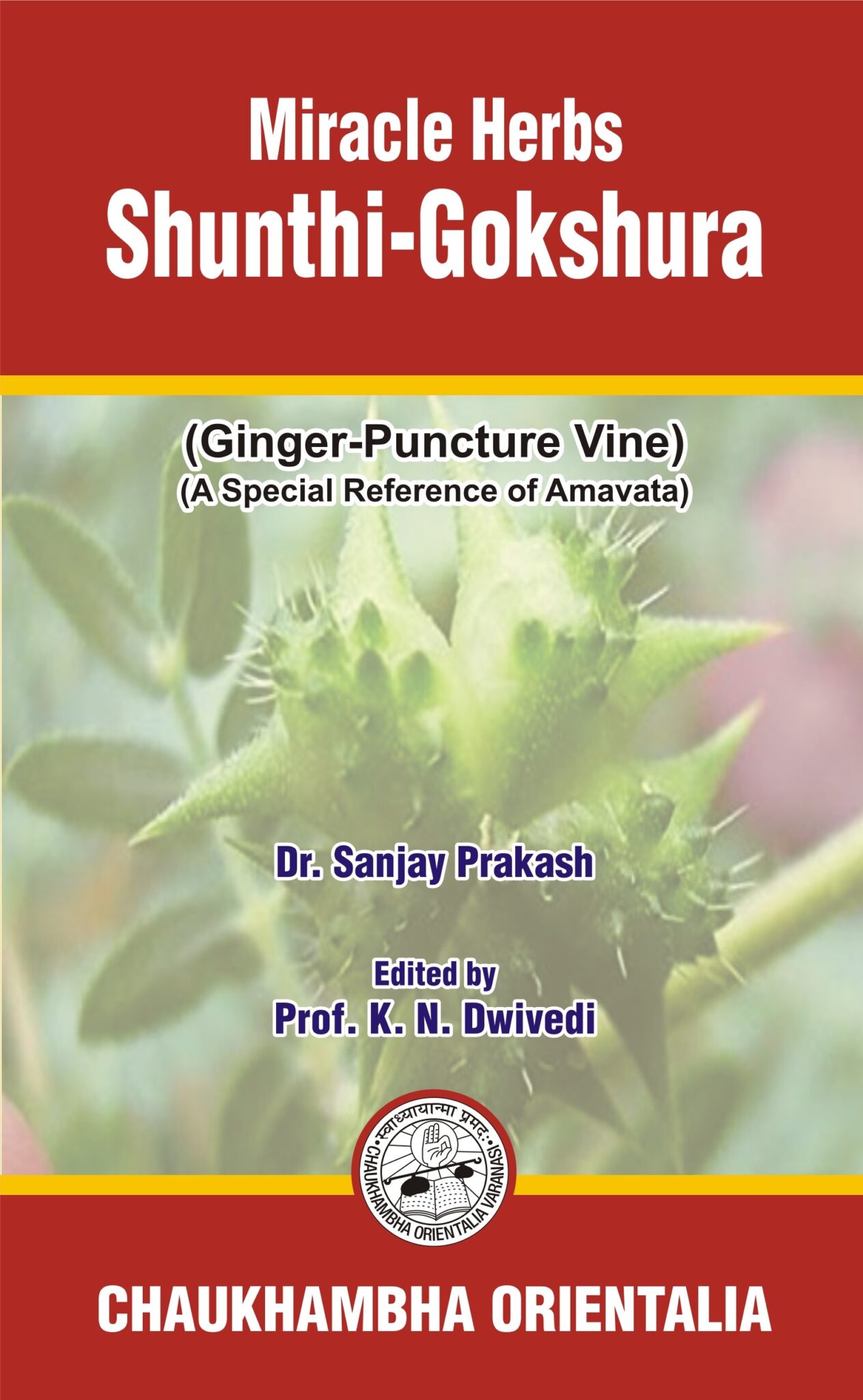 Miracle Herbs (Shunthi-Gokshura) - Chaukhambha